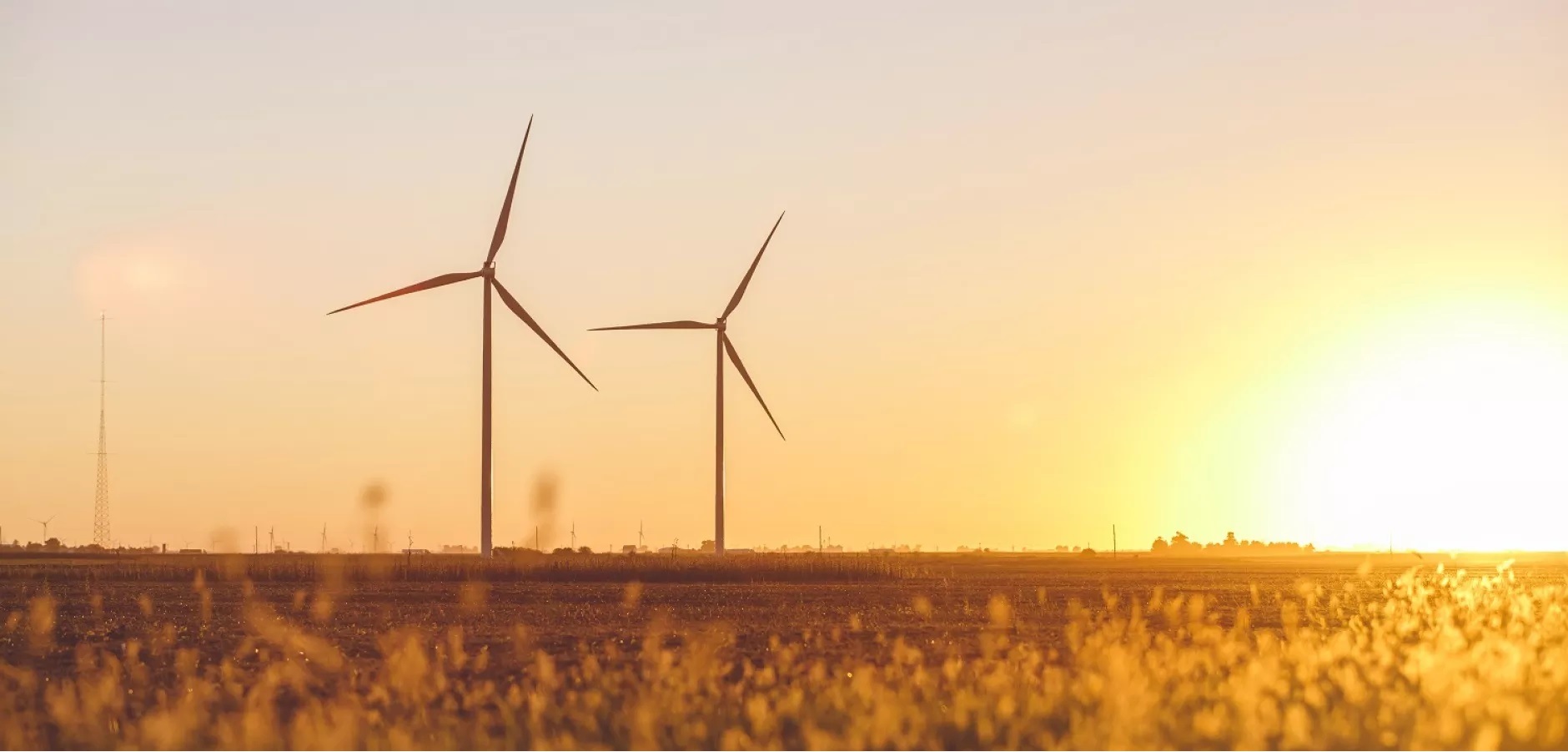 EDP Renováveis assina contrato de venda de energia verde nos EUA - RDP ...